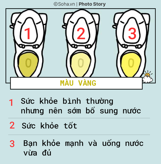 Tự khám bệnh qua màu sắc nước tiểu: Tất cả mọi người nên biết để phòng ...