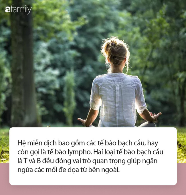 Hệ miễn dịch hoạt động thế nào, làm sao để nhận biết hệ miễn dịch khỏe ...