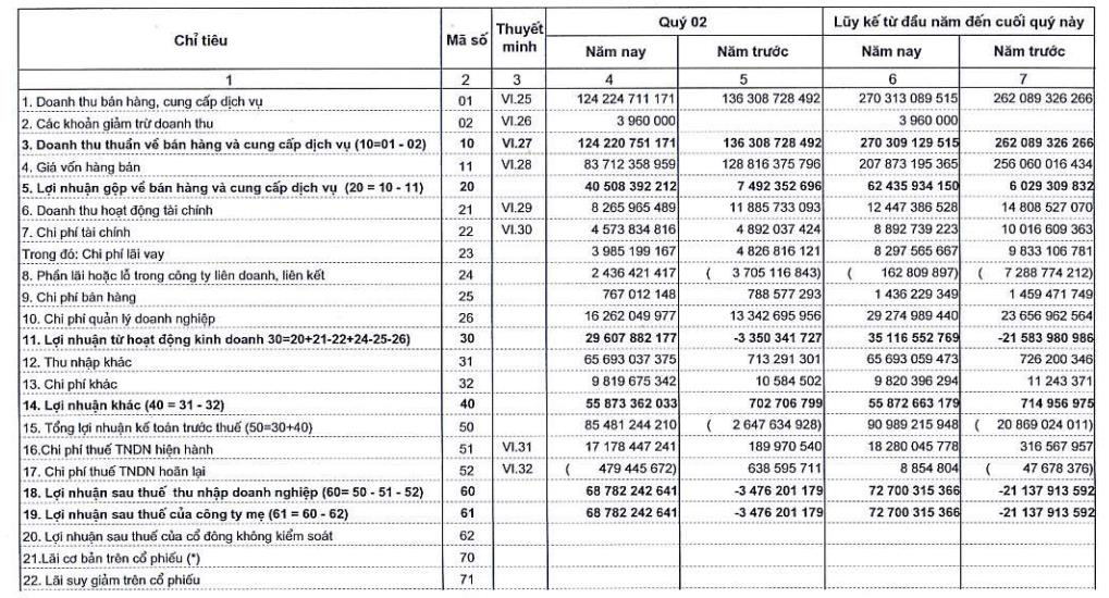 VIPCO (VIP): Quý 2 lãi 69 tỷ đồng – cao nhất trong lịch sử hoạt động