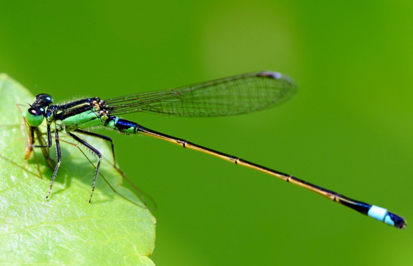 Cách lựa bát tiết lộ 8 đạo lý cuộc sống: Lòng người như cái bát, bát ...