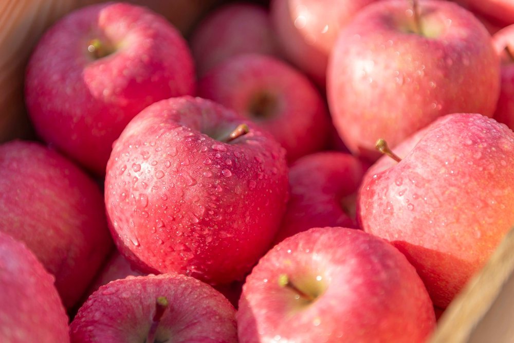 From the Japanese "miracle apple" story, Vietnam needs to learn how to ...