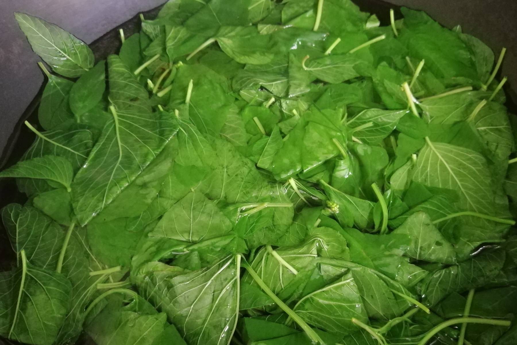 Ẩn trong loại rau dân dã này là kho canxi tự nhiên, rất tốt cho cơ thể.