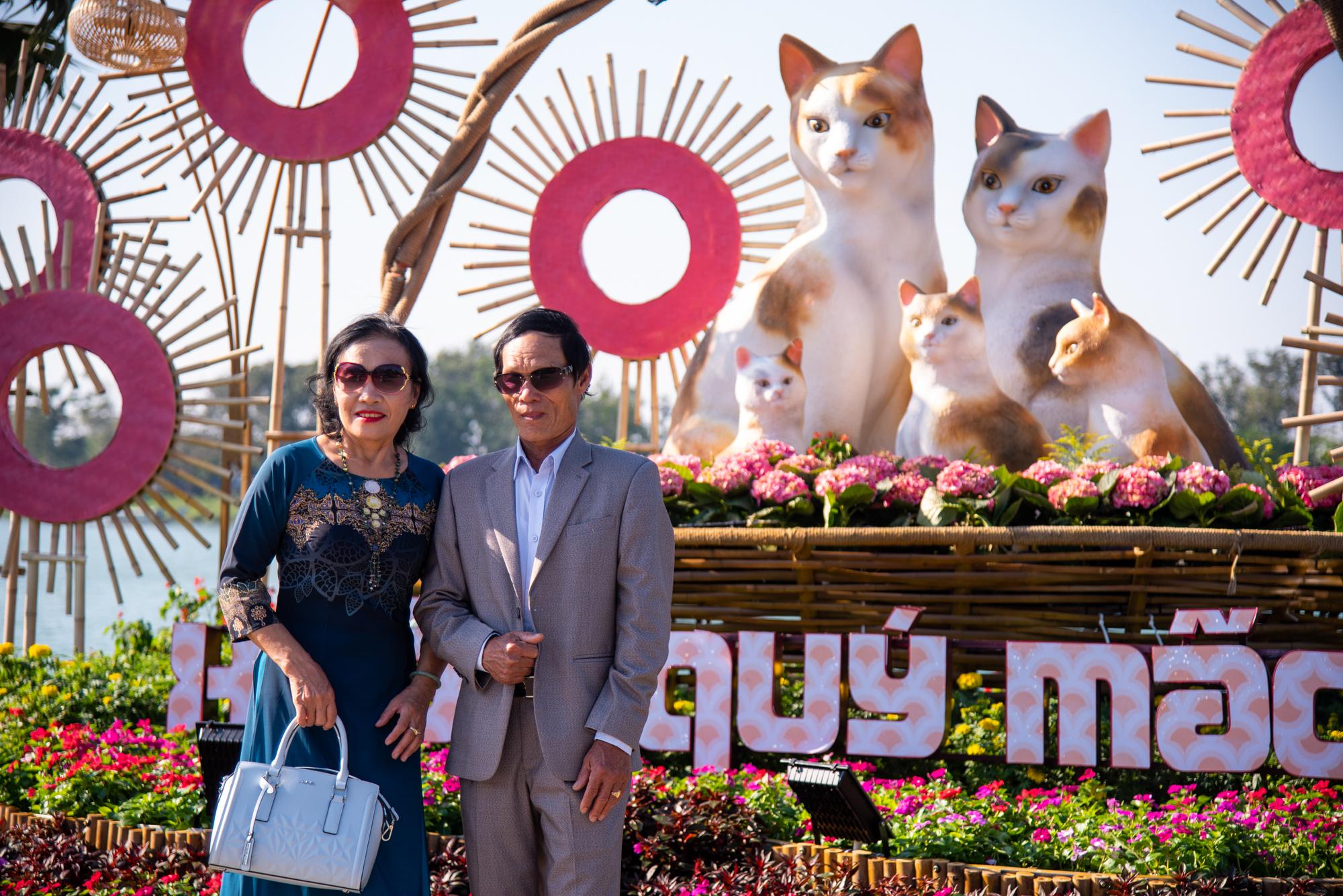 Đàn mèo ở Huế xuất hiện: Con được khen không tiếc lời, con bị chê giống ...