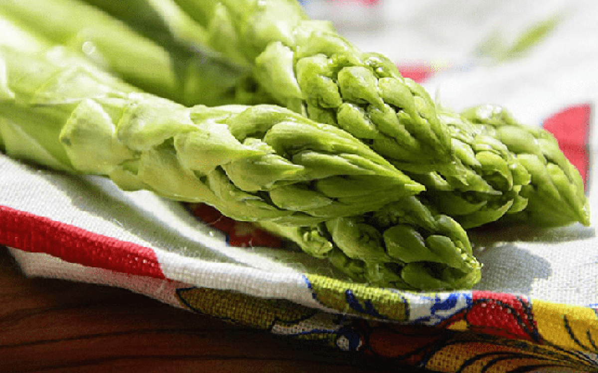 Trồng "cây rau vua" trên đất cát ven biển, mỗi tháng ung dung đút túi ...