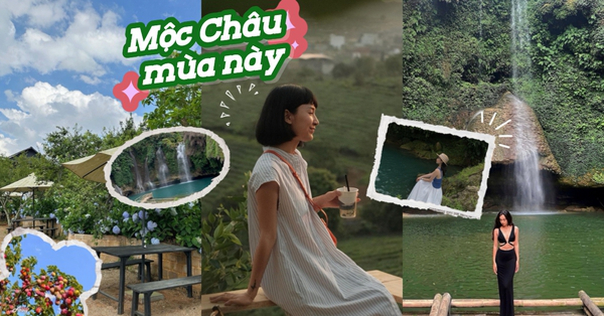 Đi Mộc Châu mùa này đâu chỉ có hái mận mà còn có loạt tọa độ thích mê ...