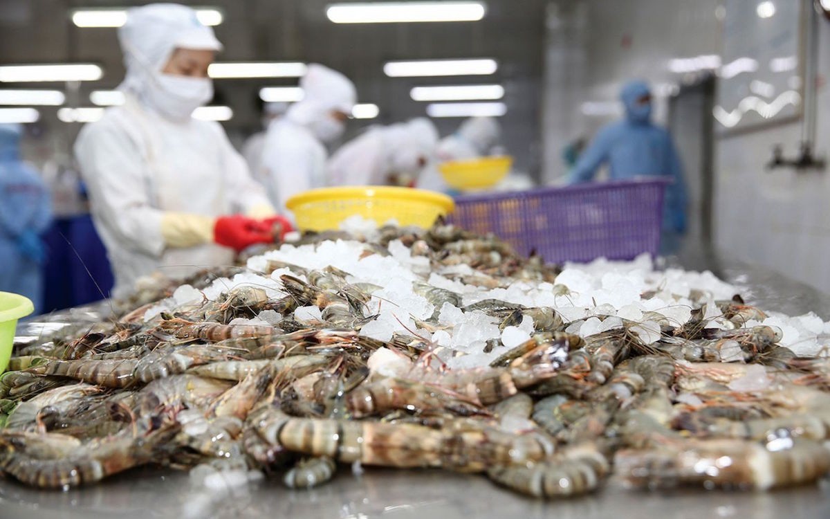 Doanh nghiệp tôm quy mô nghìn tỷ trên sàn chứng khoán sụt giảm 11% ...