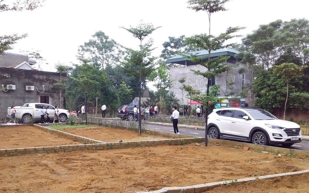 Bắc Giang sắp đấu giá hơn trăm lô đất, giá khởi điểm lô đất cao nhất ...