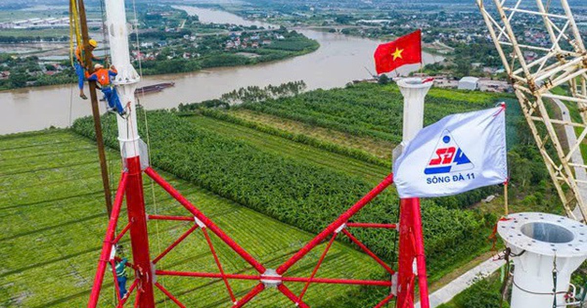 Sông Đà 11 ‘ế’ gần 2,3 triệu cổ phiếu trong đợt chào bán cho cổ đông