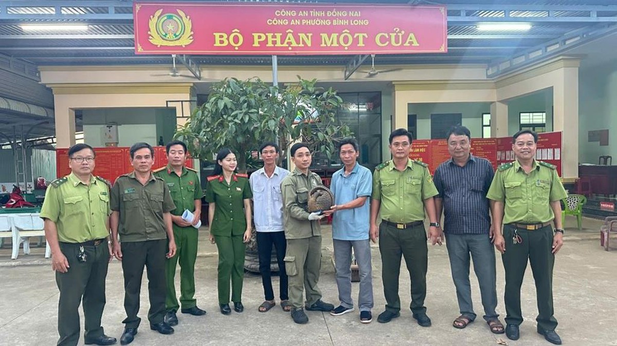 Phát hiện con vật bò lổm ngổm trong nhà vào buổi đêm, người dân vội ...
