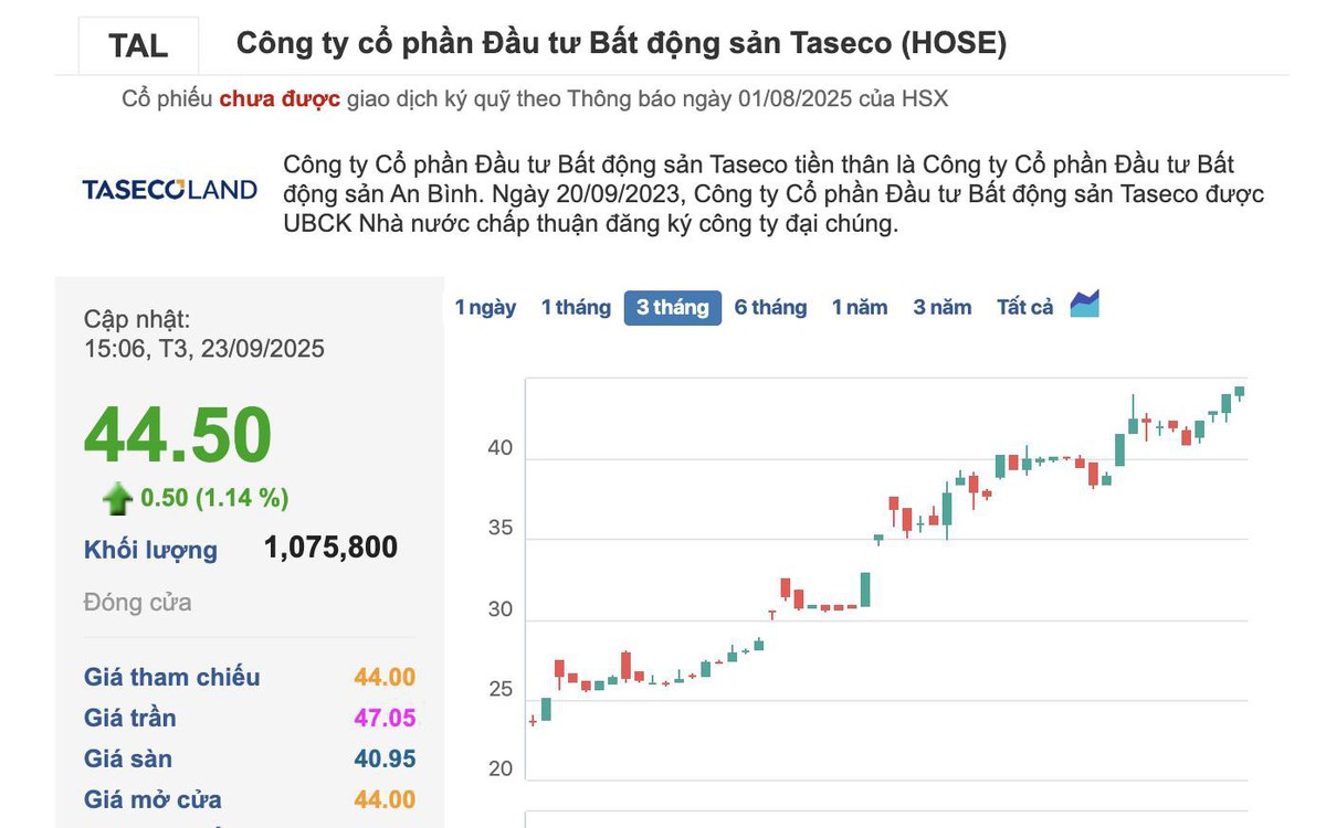 Ngược dòng thị trường, TAL hút vốn của các NĐT Nước ngoài