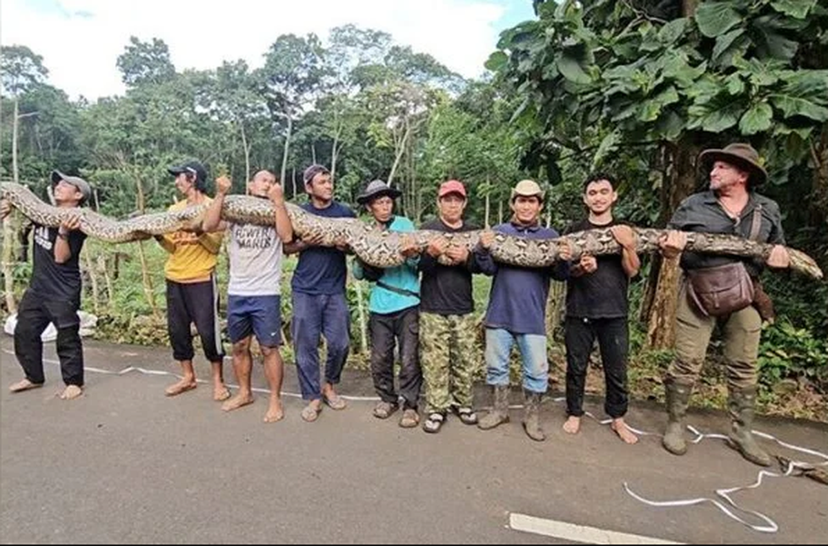 Vô tình bắt được "quái thú" dài hơn 7m, nặng gần 100kg: Guinness tìm ...