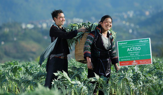 Traphaco Sapa với sứ mệnh “sức khỏe xanh” cùng các sản phẩm từ atiso