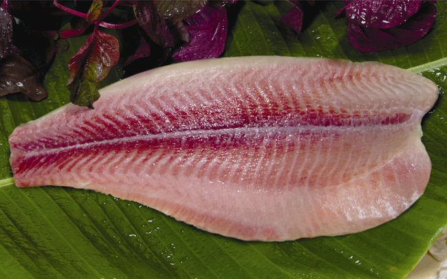 Khai sai hàng loạt thông tin trên BCTC, Agifish bị phạt nặng