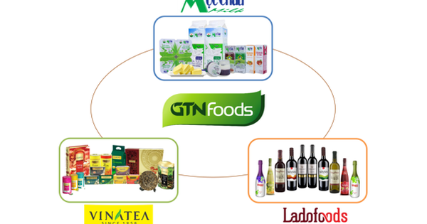 Đã có Ladofoods, Vinatea, Sữa Mộc Châu, công ty GTNfoods sẽ đi tiếp như ...
