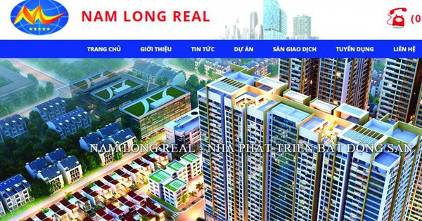Xâm phạm sở hữu trí tuệ, Nam Long Real bị thanh tra đột xuất