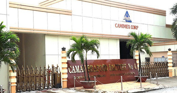 Camimex Group (CMX): Doanh số xuất khẩu tháng 4 cao nhất trong 7 năm ...