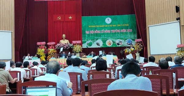 ĐHĐCĐ Tập đoàn Cao su (GVR): Năm 2020 sẽ thu tiếp 1.000 tỷ tiền đền bù ...