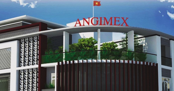 Angimex (AGM) đặt kế hoạch doanh thu năm 2022 tăng gấp đôi lên 8.000 tỷ ...