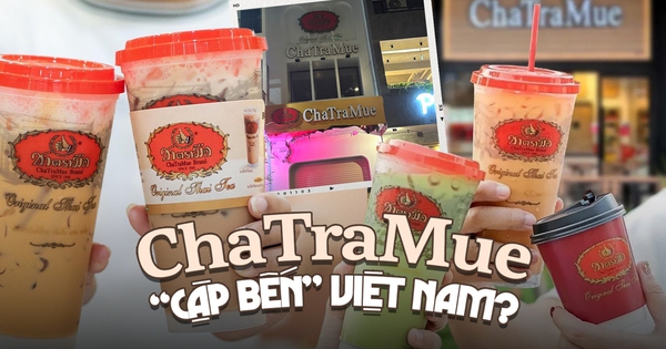 Phấn khích trước hình ảnh hiệu trà sữa “cứ đi Thái là phải uống” đang xây dựng cửa hàng đầu tiên ...