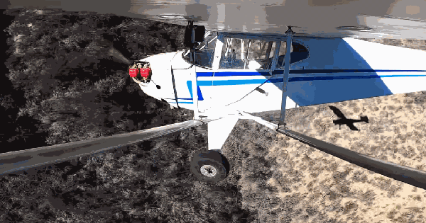 Đâm ô tô câu view xưa rồi, giờ YouTuber còn đâm máy bay lấy tương tác ...