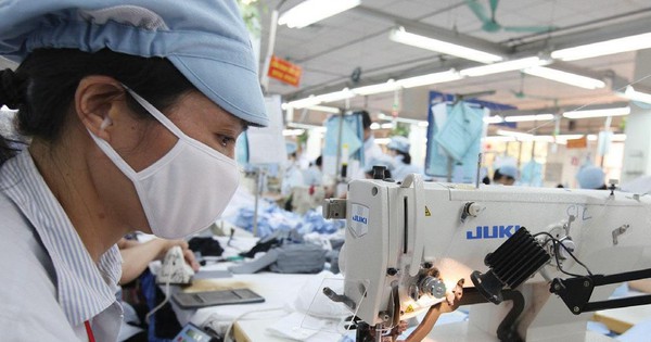 Đơn hàng sụt giảm, Gilimex (GIL) báo lỗ kỷ lục 39 tỷ đồng trong quý 1/2023