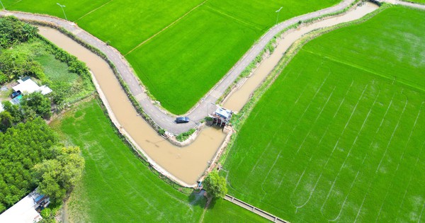 Cánh đồng lúa đẹp như tranh vẽ hút khách du lịch ở Bà Rịa - Vũng Tàu