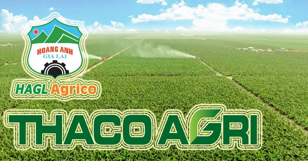 Hai “mảng màu” đối lập trên bức tranh kinh doanh của Thaco Agri và HNG