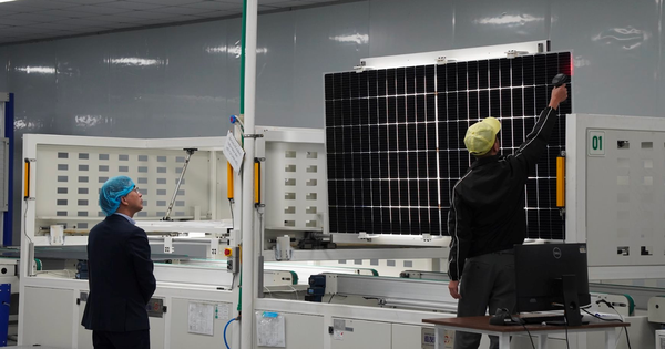 Damsan báo lãi 78 tỷ đồng sau 9 tháng, tự tin hoàn thành kế hoạch năm