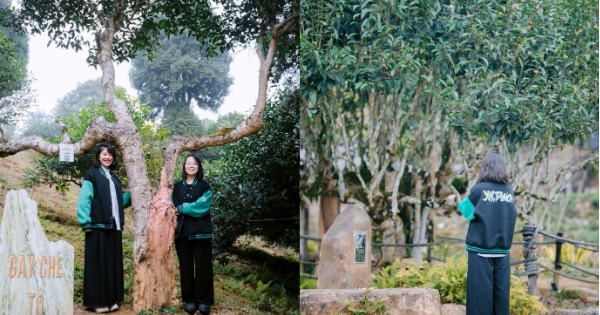 Yi He Tang Việt Nam và tầm nhìn bản địa hóa nguyên liệu