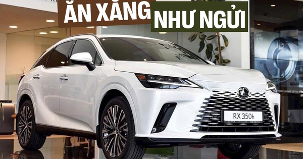 Lexus RX hybrid 2025 giá dự kiến từ 3,5 tỷ đồng tại Việt Nam, dễ bán tháng sau, cạnh tranh X5 ...