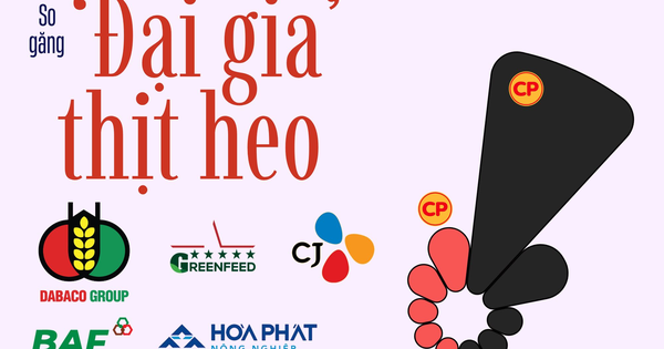 350.000 con heo nái đưa C.P. Việt Nam thống trị ngành heo, ‘đại gia ...