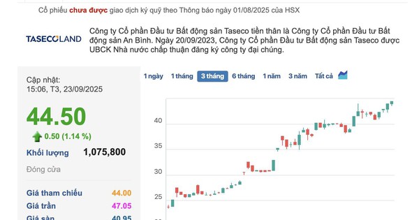 Ngược dòng thị trường, TAL hút vốn của các NĐT Nước ngoài