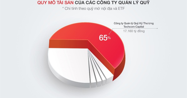6 tháng đầu năm 2020, lợi nhuận Techcom Capital đạt 114 tỷ, tăng 66%