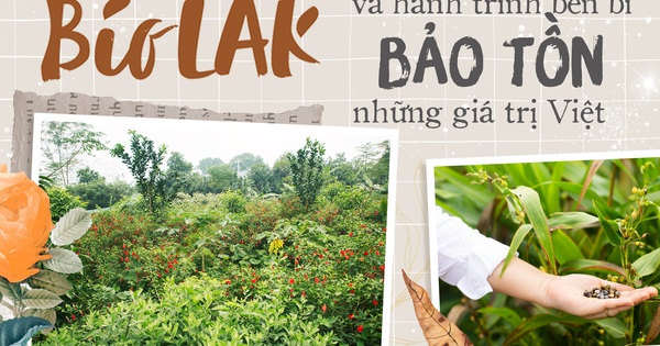 Bio LAK và hành trình bền bỉ bảo tồn những giá trị Việt